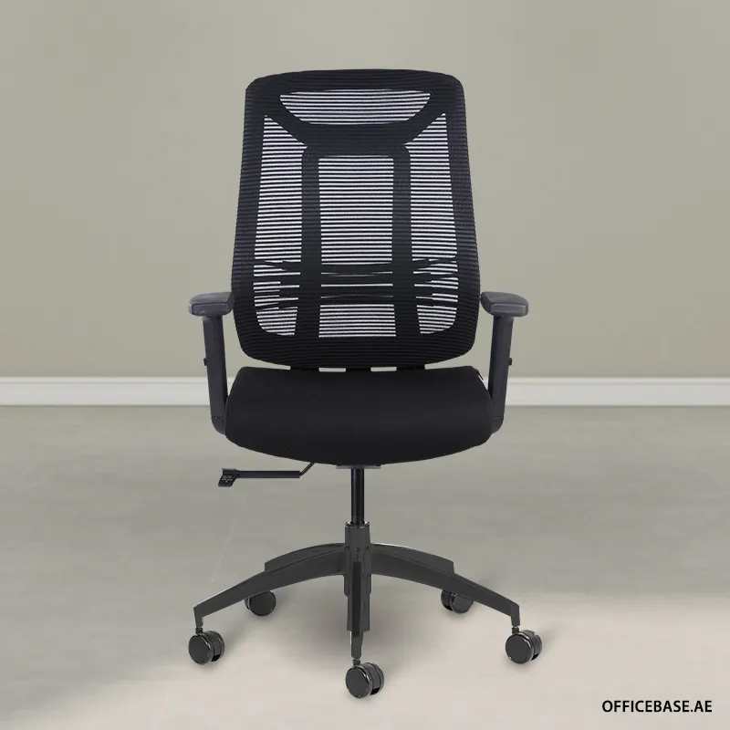 DAYFREY Mid Back Mesh Chair | Black Nylon Base